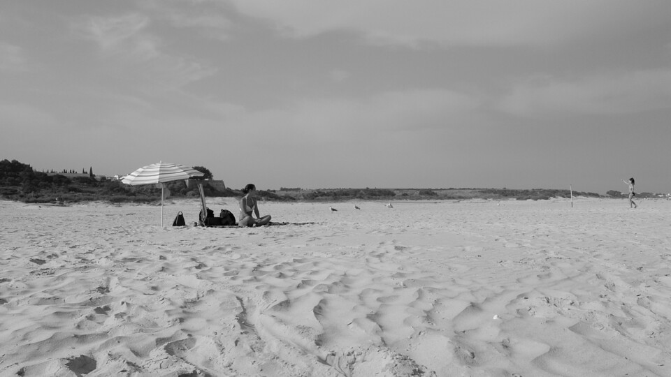 Os animais são nossos amigos. - With Love.