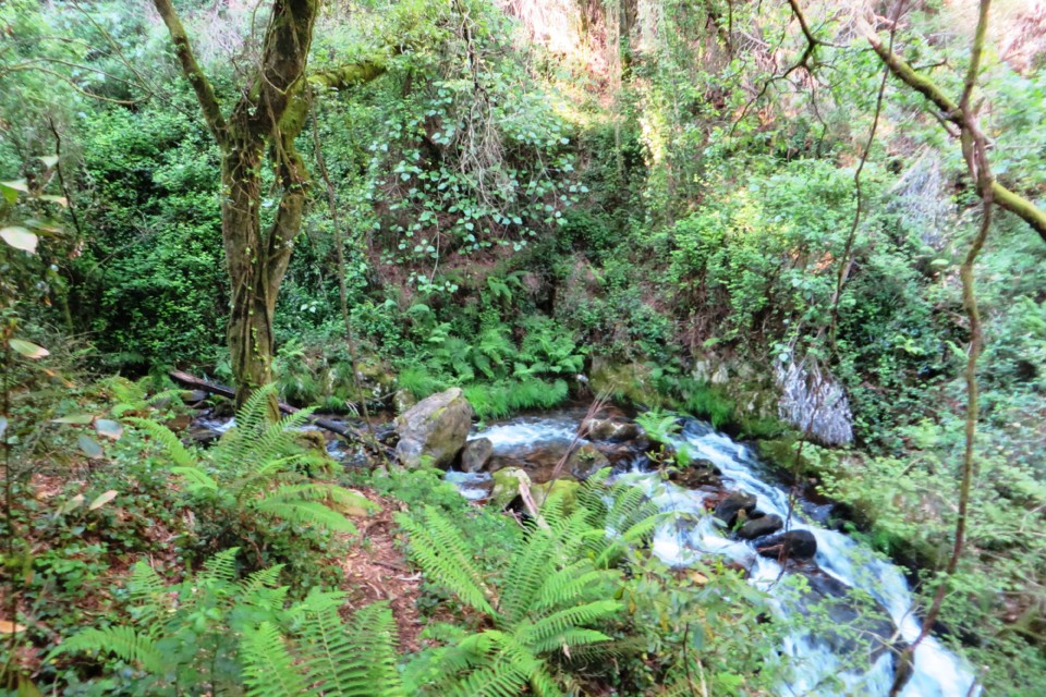 Cascata do Rio Gresso - Recantos & Encantos de Portugal