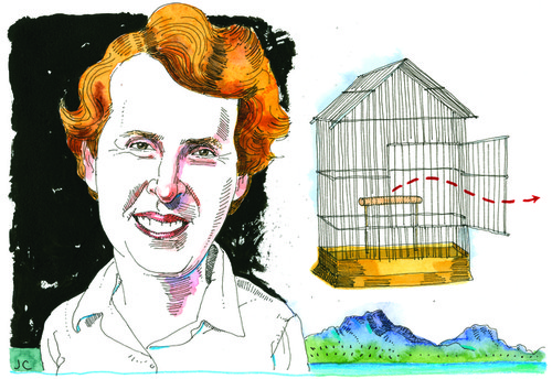 Quem foi Phoebe Snetsinger e porque a Google a homenageia com um doodle ...