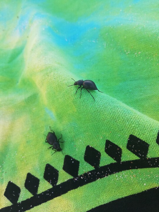 Os animais são nossos amigos. - With Love.