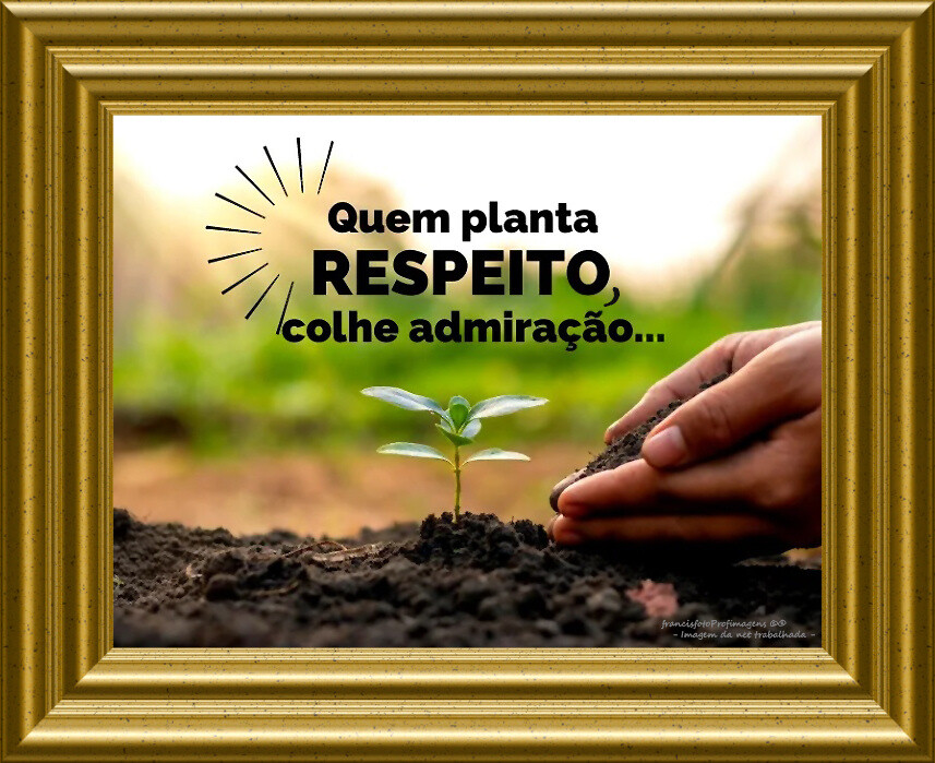 RESPEITO, SEM QUAL RESPEITO... - francisfoto