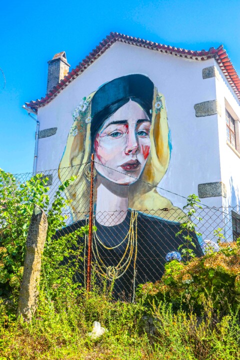 Mural de Margarida Fleming em São Pedro do Sul - Arca de Darwin