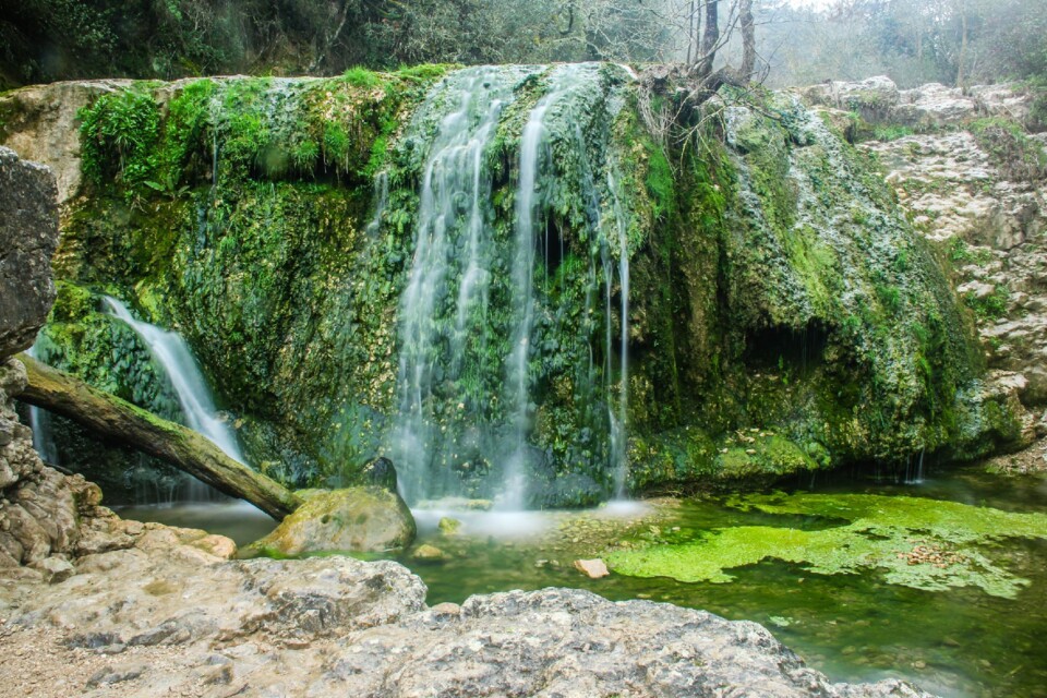 Cascata da Contradinha e Cascata do Boição (Loures) - Arca de Darwin