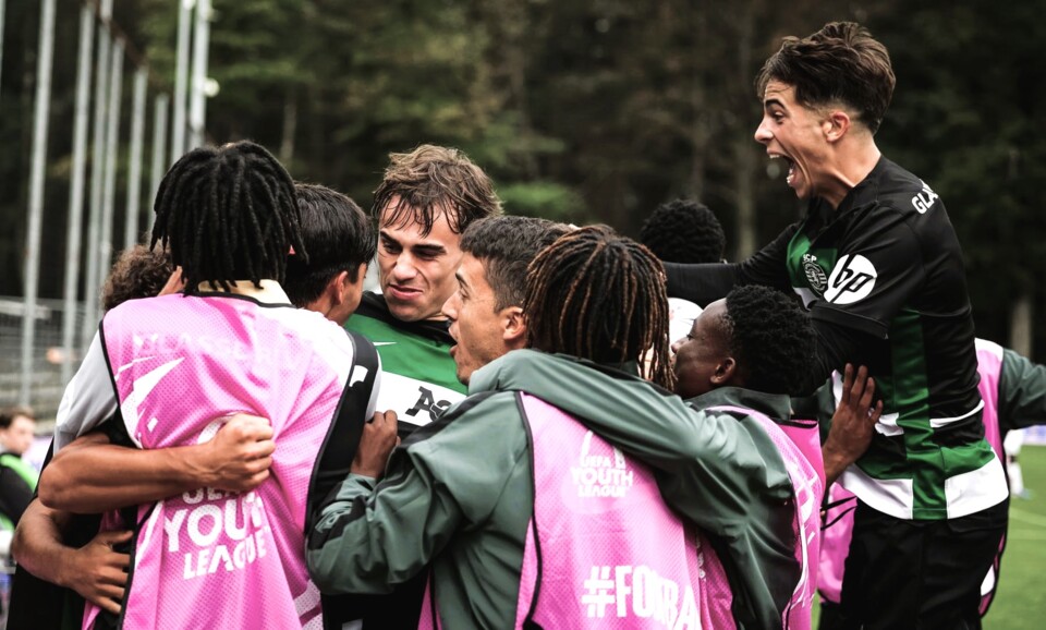 Jovens leões em destaque - Camarote Leonino