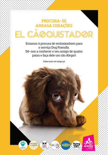 Alegro celebra 1 ano como Dog Friendly - Cultura de Borla