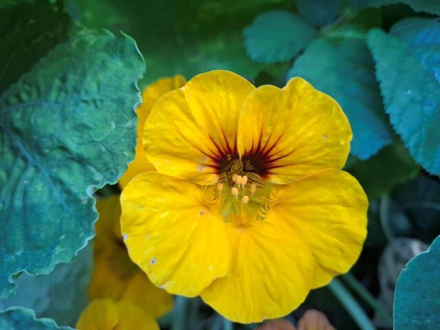 28 de Maio de 2025 - Marta O meu canto