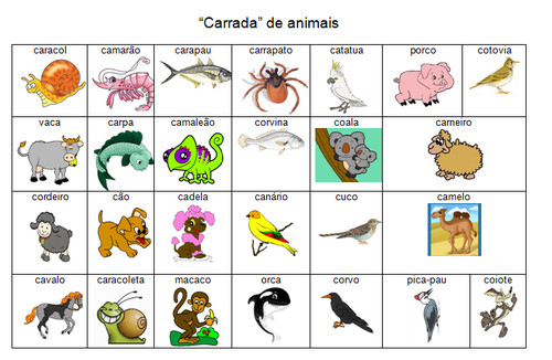 Animais com C - Os Estrelinhas