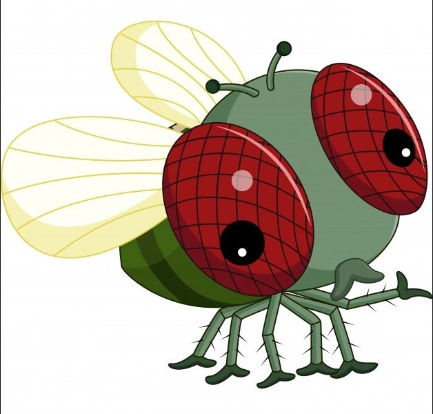 Tradições »» Mosca - As coisas de que eu gosto! e as outras...