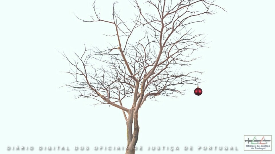 Novidades em Nomeações: DGAJ e COJ - Oficial de Justiça