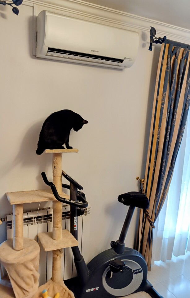 Agosto 2025 - O mundo felino do Riscas e do Rafael