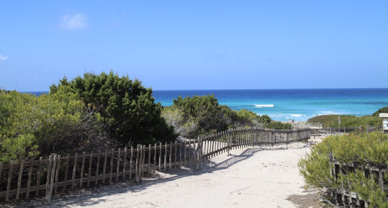 Viagens #1 Formentera Azul turquesa - I Met God she’s Green