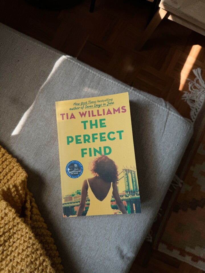 The Perfect Find, Tia Williams - Rita da Nova