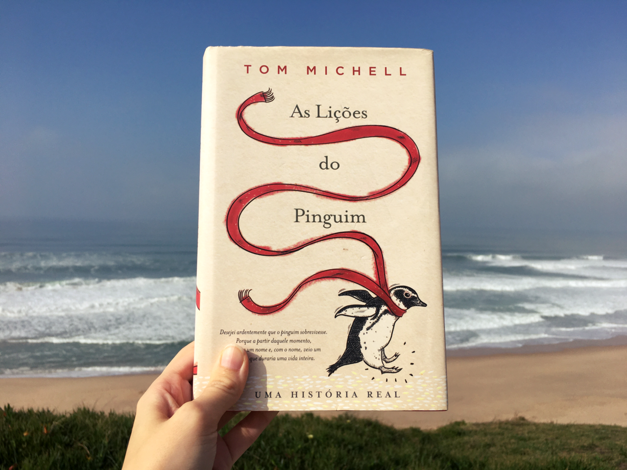 As lições do pinguim de Tom Michell - MAR DE MAIO