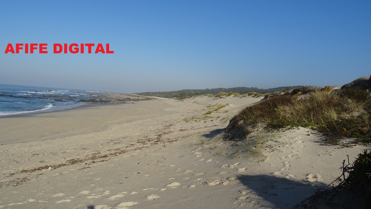 PRAIAS, COM MAIS AREAL - AFIFE DIGIT@L jornal on-line de Afife