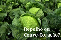 COUVE GALEGA: A NOSSA MELHOR AMIGA! - CALDO VERDE