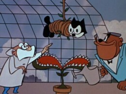 O Gato Félix - Desenhos Animados - Anos 90