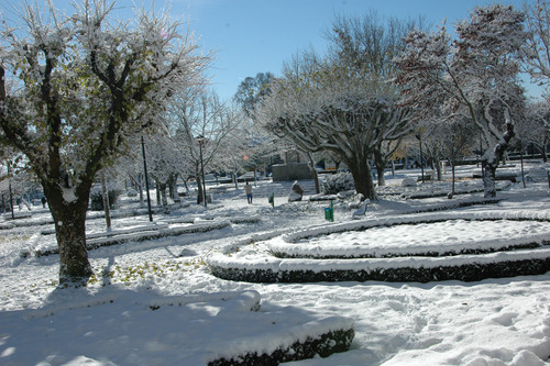 Neve na Guarda - MARMELEIRO