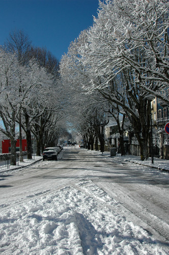 Neve na Guarda - MARMELEIRO
